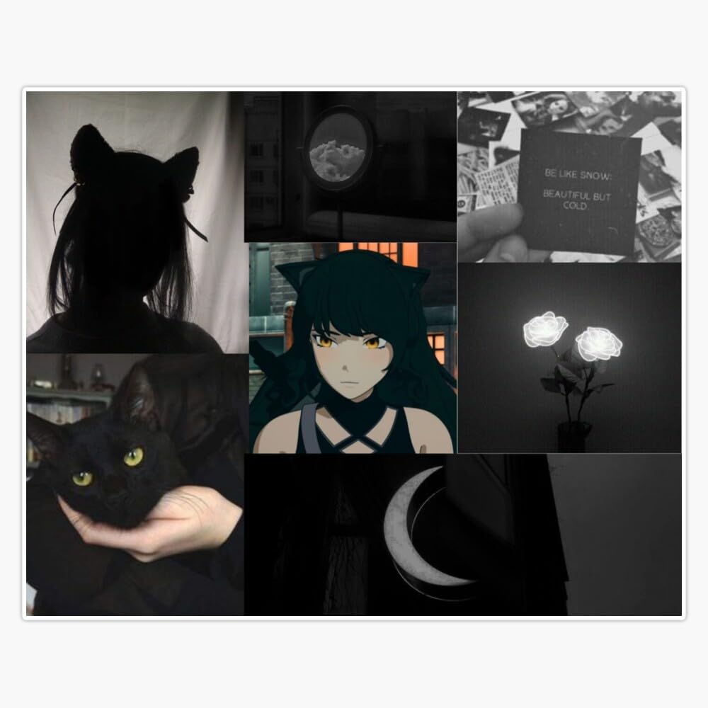 Amazon.com: Blake Belladonna of RWBY Black Aesthetic Sticker Vinyl ...