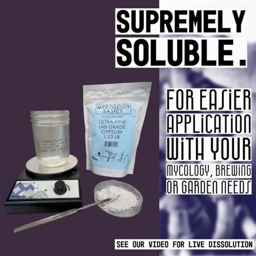 Snapklik.com : Mycology Basics - Ultra-Fine Lab Grade Gypsum For ...