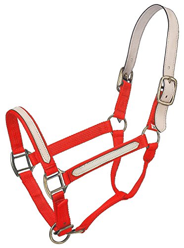 Ride in Style: Top 10 Red Horse Halters Reviewed and Recommended ...