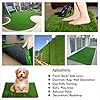 Yazlyn Collection Polyester Blend High Density Artificial Grass Carpet ...