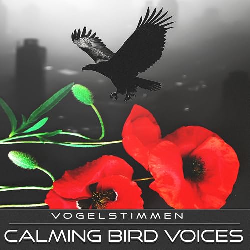 Calling Harmonious song by Vogelstimmen from Calming Bird Voices on ...