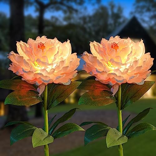 DUODEAN 2 Pack Peony Flowers Solar Light, Upgraded Solar Panel and ...