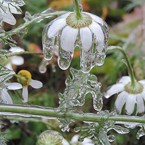 Earthseed di nthng su Amazon Music - Amazon.it