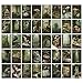 Amazon.com: 97 Decor Goblincore Room Decor - 40 Pcs Cottage Core Wall ...