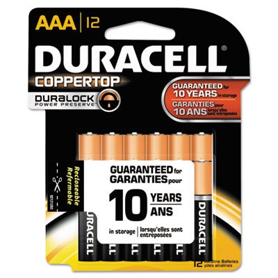 Amazon.com: Duracell CopperTop Alkaline Batteries with Duralock Power ...