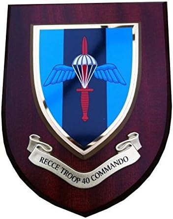 Military 40 Commando Recce Troop Wall Plaque Royal Marines : Amazon.co ...