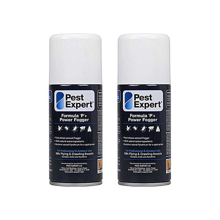 Buy Pest Expert Formula ‘P+’ Bed Bug Killer Fogger 2 x 150ml (HSE ...