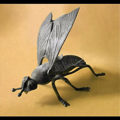 Play Fly Ashtray by Fly Ashtray on Amazon Music