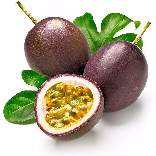 Frutas raras: nombres y fotos de las exóticas tropicales. - Mi Hogar