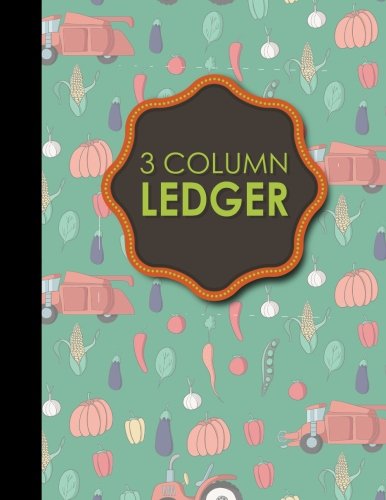 Amazon.com: 3 Column Ledger: Ledger Pad, Accounting Ledgers For Small ...