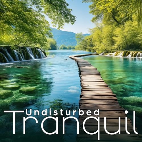 Amazon.co.jp: Undisturbed Tranquil - Music for an Uninterrupted Time of ...