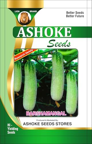 ASHOKE Seeds Konkan Kakdi Seeds – Organic & Open Pollinated (Pack of 50 ...