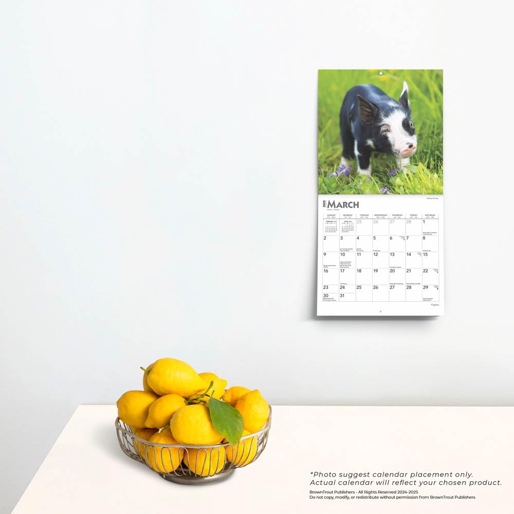 Snapklik.com : Piglets 2025 7 X 14 Inch Monthly Mini Wall Calendar ...