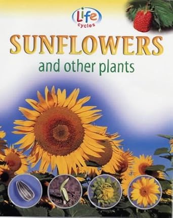 LIFE CYCLES SUNFLOWERS (PLANTS) : Buy Online at Best Price in KSA ...