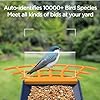 Amazon.com: Birdkiss Smart Bird Feeder with Camera, Birds Watching ...
