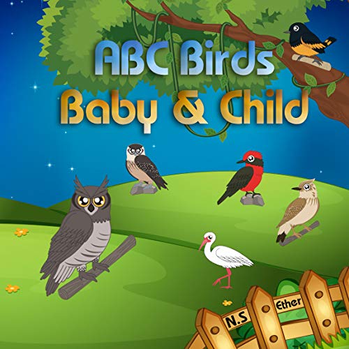 ABC Baby with species Birds Children photobooks: picture book for ...