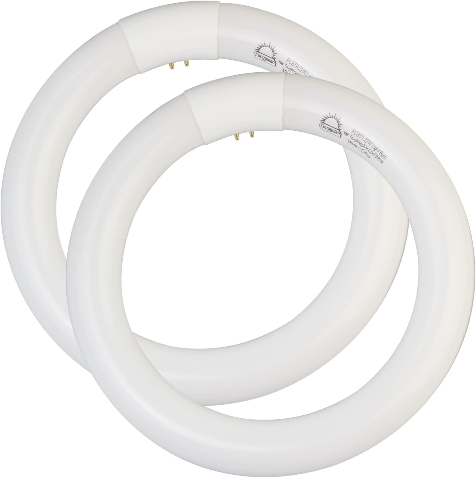 Philips 391169 Circline Fluorescent 22-Watt 8-Inch T9 Cool White Light ...