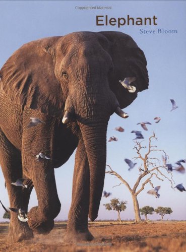 Buy Elephant Book Online at Low Prices in India | Elephant Reviews ...