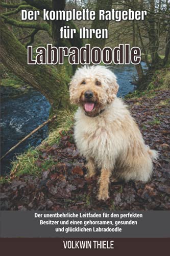 Labradoodle -Temperament/Wesen, Haltung, Erziehung, Preise und ...