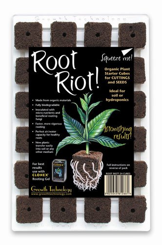 Amazon.com : Two Wests & Elliott Root Riot Tray Set : Patio, Lawn & Garden
