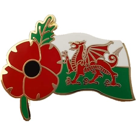 Metal Enamel Pin Badge Wales Dragon Welsh Flag Saint David Baner Cymru ...