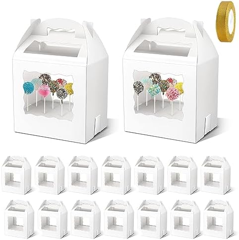 Amazon.com: 16 PCS Portable Cake Pop Packaging Box, White Cake Pop ...
