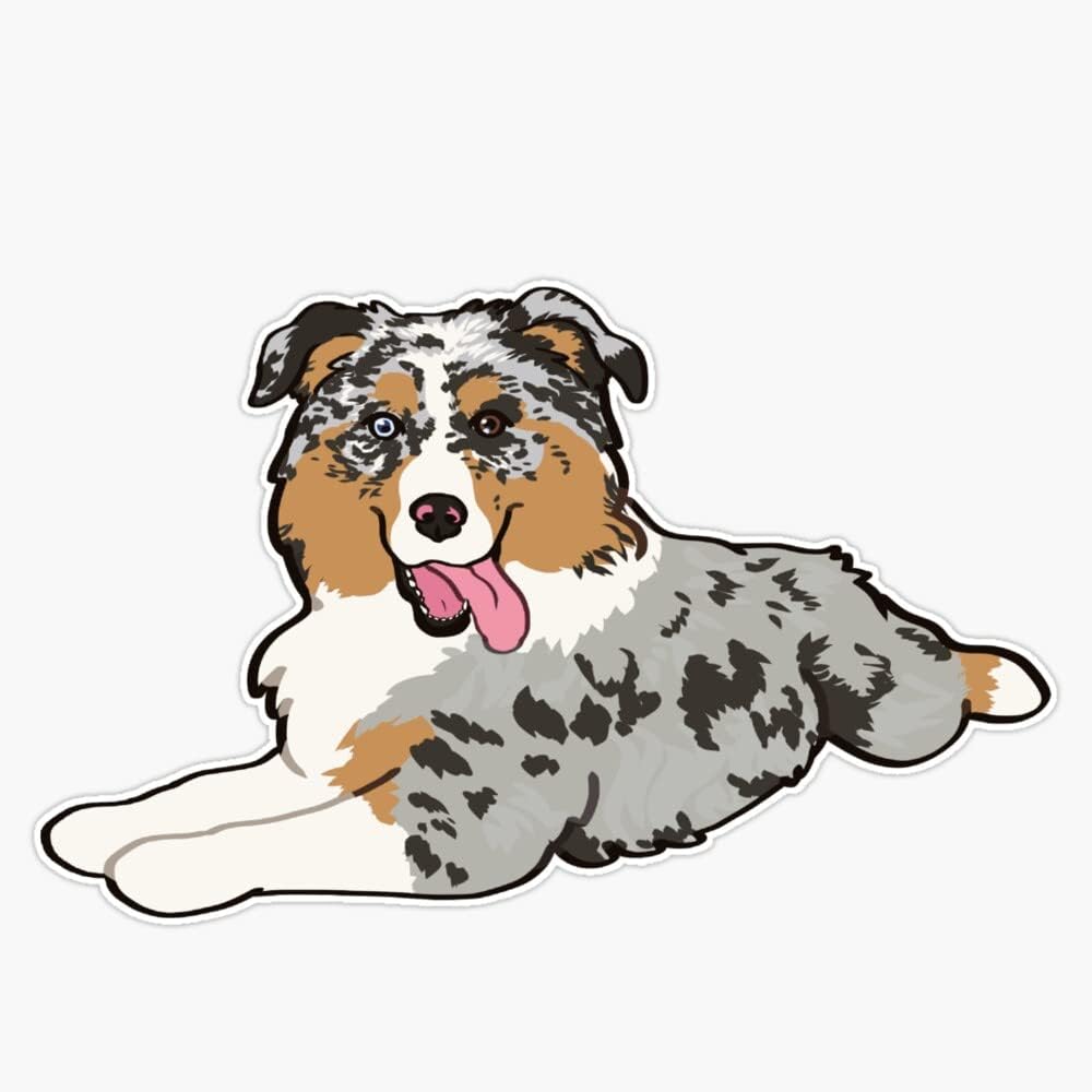 Amazon.com: Aussie, Australian Shepard Sticker Vinyl Waterproof Sticker ...