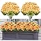 Amazon.com: Melorca&Guilla Artificial Plants Outdoor,4PCS 7Branches ...