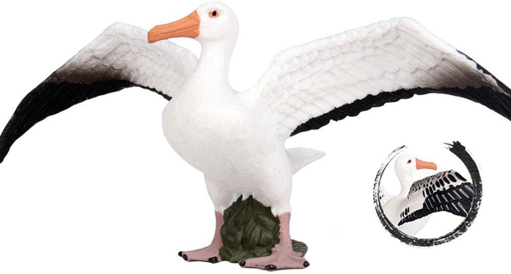 Amazon.com: FLORMOON Albatross Figure Realistic Animal Figurines Early ...