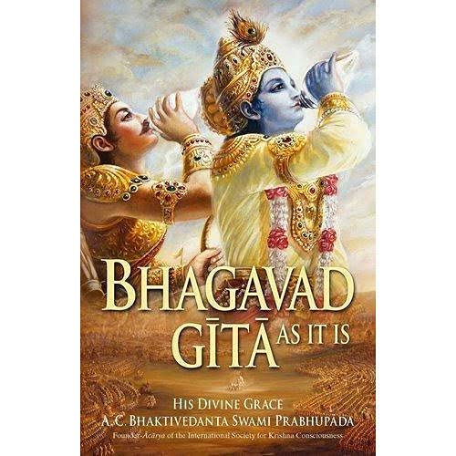 Buy Hindu Putra Brihat Nitya Puja Kram Paddhati Devi Devta Puja ...