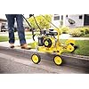 Amazon.com : Champion Power Equipment 9 Inch 79cc Lawn Edger with Curb ...
