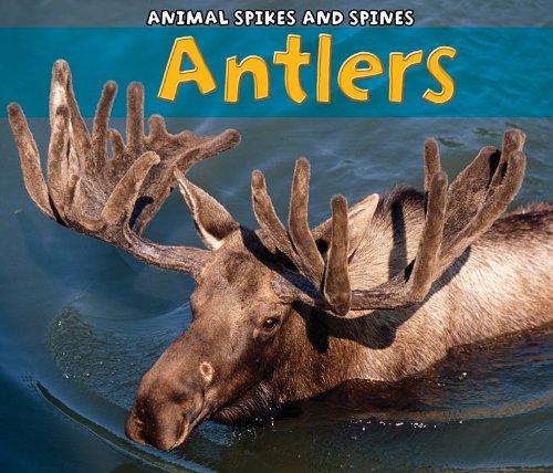 Antlers (Animal Spikes and Spines): Rissman, Rebecca: 9781432950378 ...