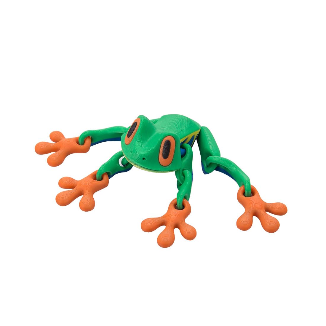 Amazon.com: GoAssemb 3D Printed Multicolored Jungle Frog with Movable ...