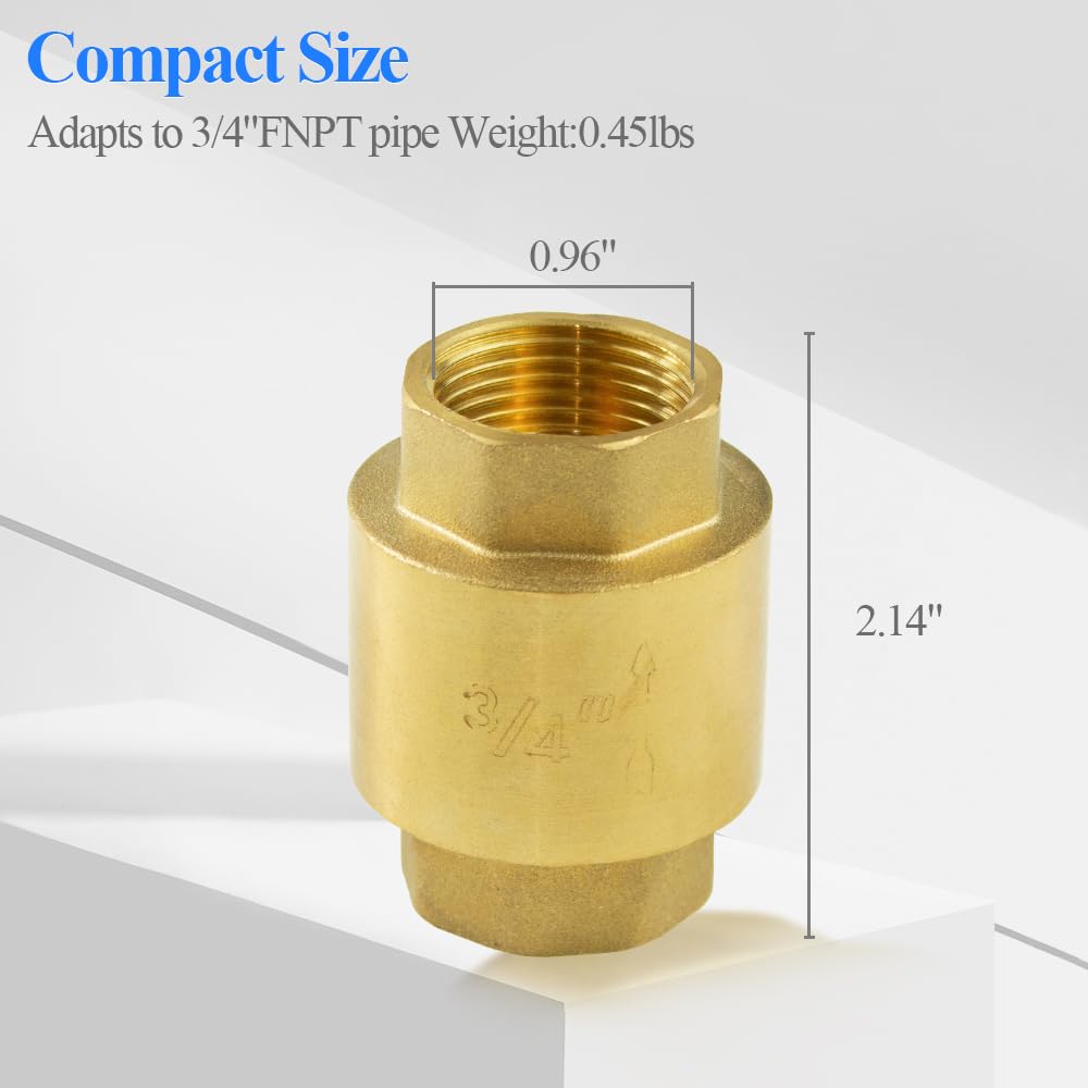 Snapklik.com : Vertical Spring Check Valve, 3/4 NPT Thread Brass Check ...