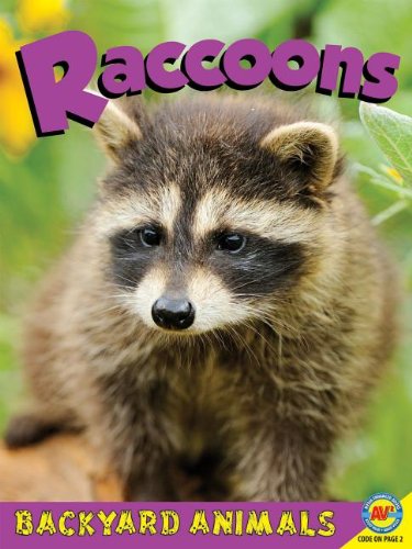 Raccoons (Backyard Animals): Hurtig, Jennifer: 9781619130692: Amazon ...