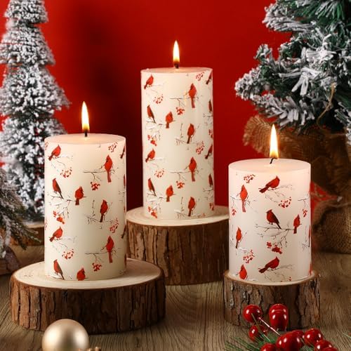 Amazon.com: Conelist 3 Pack Red Christmas Candles Bird, 3 x 4'' 5'' 6 ...