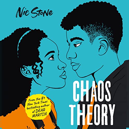 Amazon.com: Chaos Theory (Audible Audio Edition): Nic Stone, Nic Stone ...