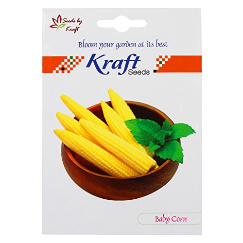 Best Baby Corn and Sweet Corn Seeds: 2 in 1 Seeds Packet