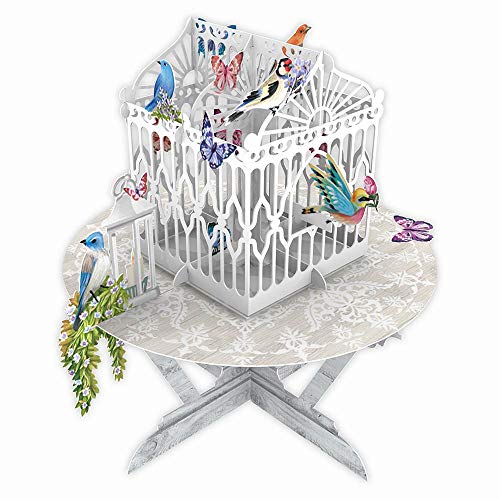 Paper D'Art 3D Pop Up Birds & Butterflies