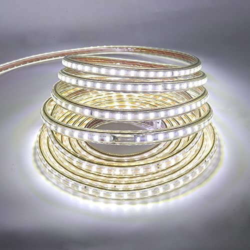 LED strips at 220V of 10 meters | LED Moment