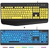 Amazon.com: SABLUTE Large Print Backlit Keyboard, Wired USB Lighted ...
