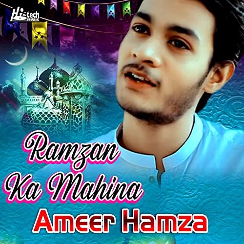 Ameer Hamza Logo