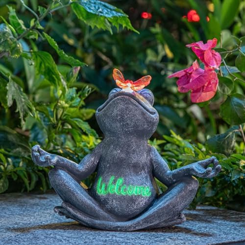 Amazon.com : Solar Frog Garden Statues for Porch Patio Yard Decorations ...