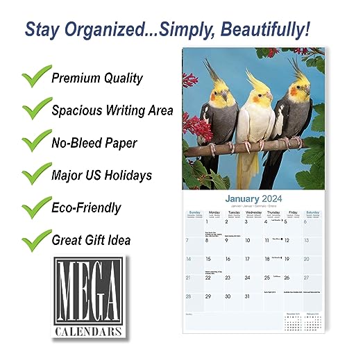 Snapklik.com : 2023 2024 Cockatiels Calendar - African Birds Monthly ...
