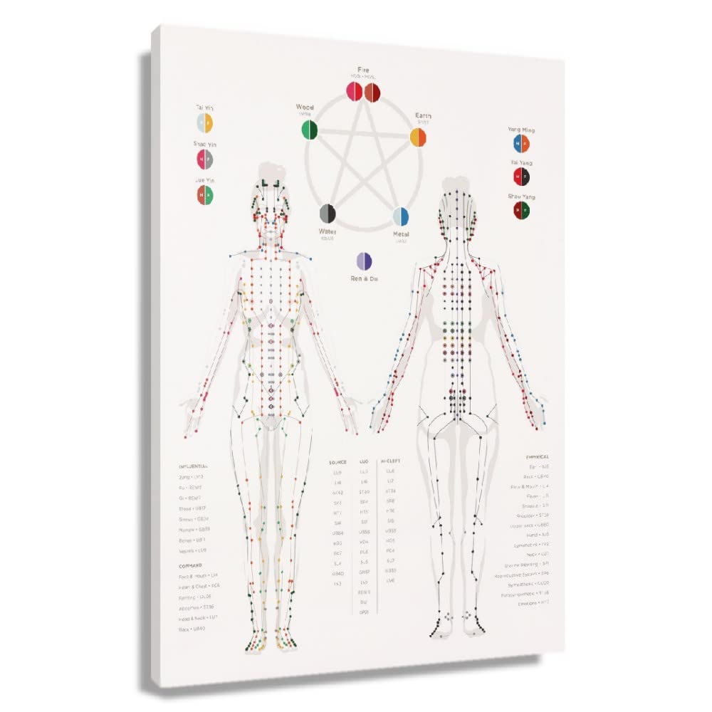 Online Acupuncture Meridian Charts
