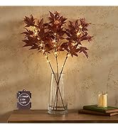 Amazon.com: Hairui Lighted Maple Leaf Garland with Timer 6FT 24 Warm ...