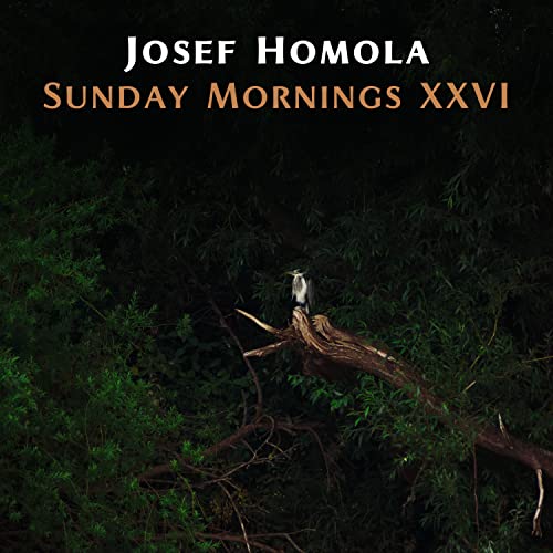 Écouter Sunday Mornings XXVI par Josef Homola sur Amazon Music Unlimited