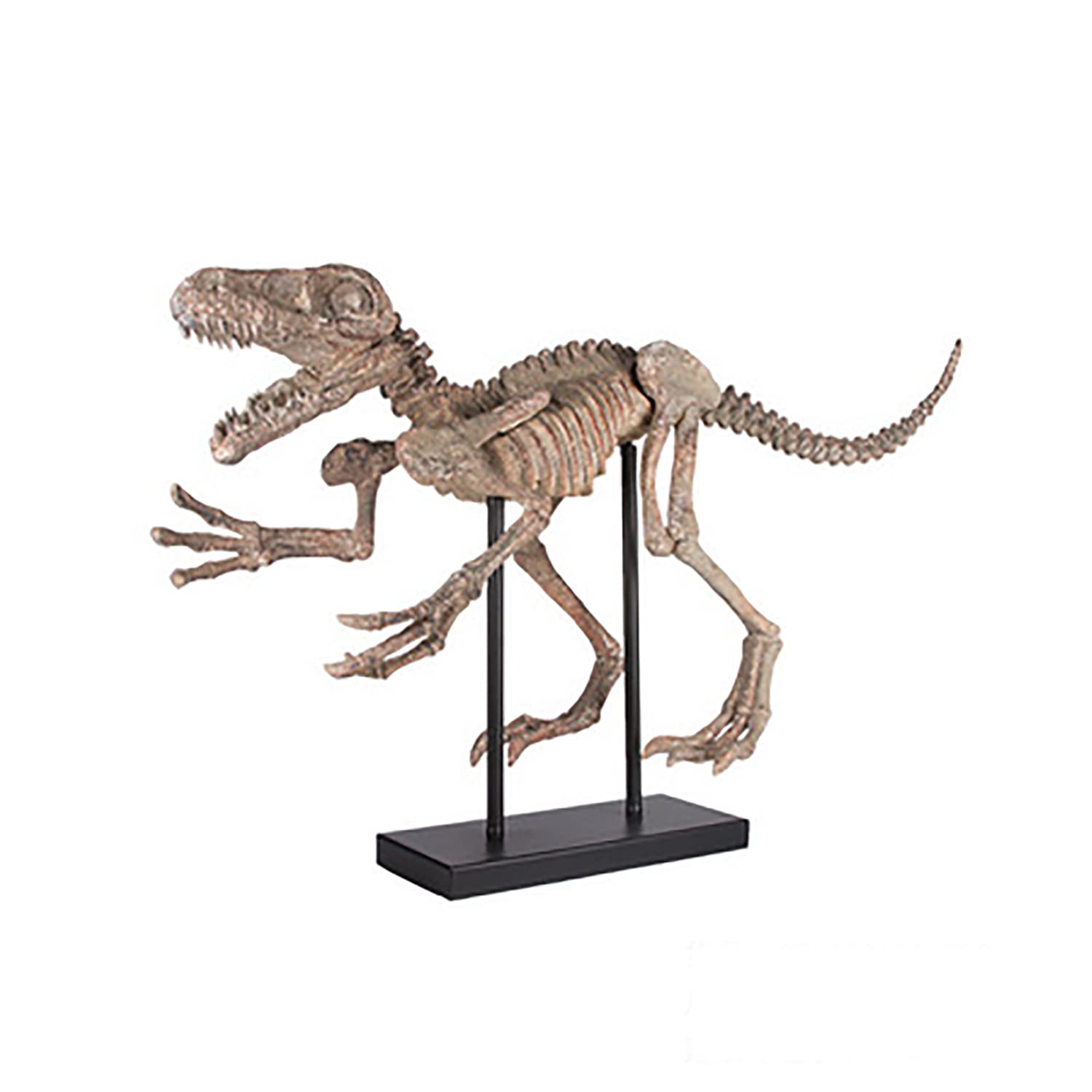 Allosaurus Skeleton Model