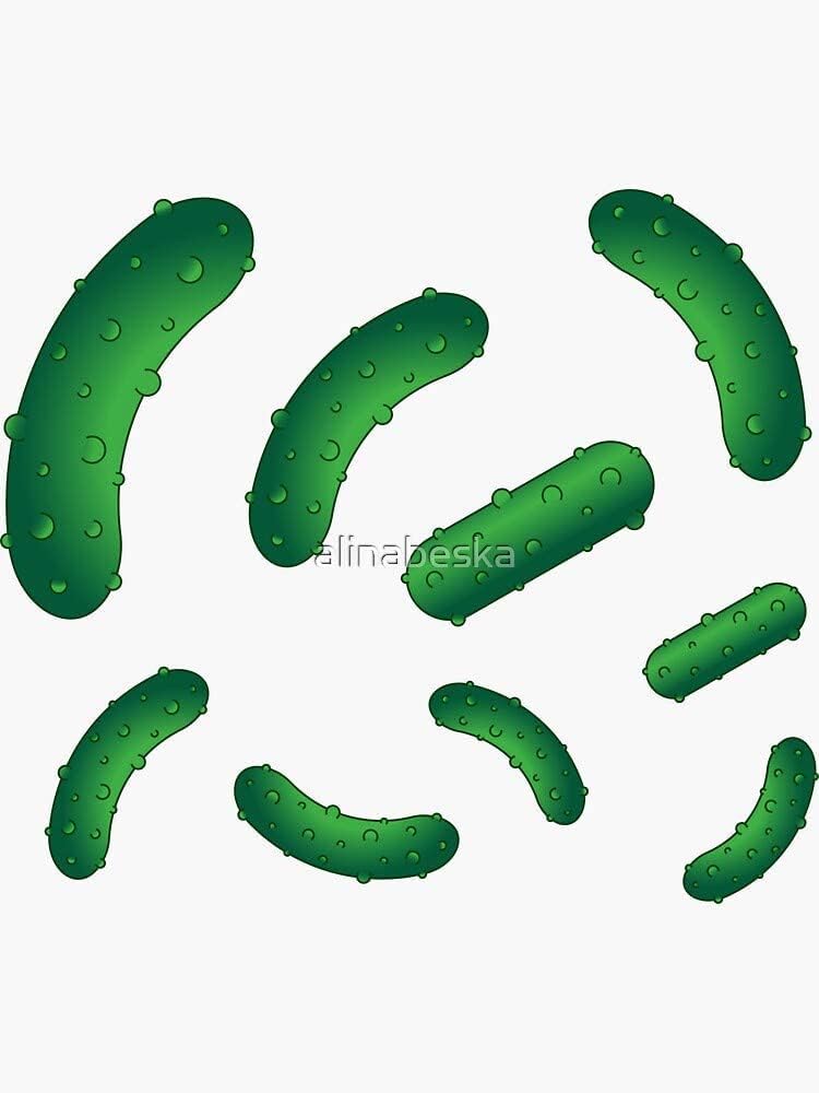 Amazon.com - Pickle Sticker Pack Sticker - Sticker Graphic - Auto, Wall ...