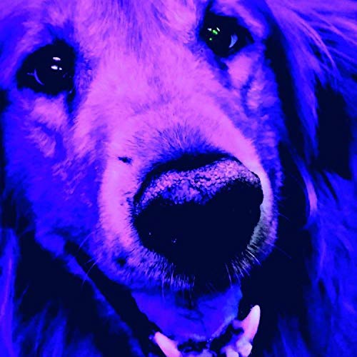 Écouter Wonderwall par Dr. Infinity sur Amazon Music Unlimited